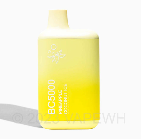 Explore Affordable & Convenient Disposable Vapes at White Horse Vapor