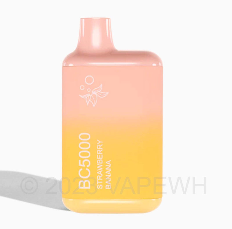 Explore Affordable & Convenient Disposable Vapes at White Horse Vapor