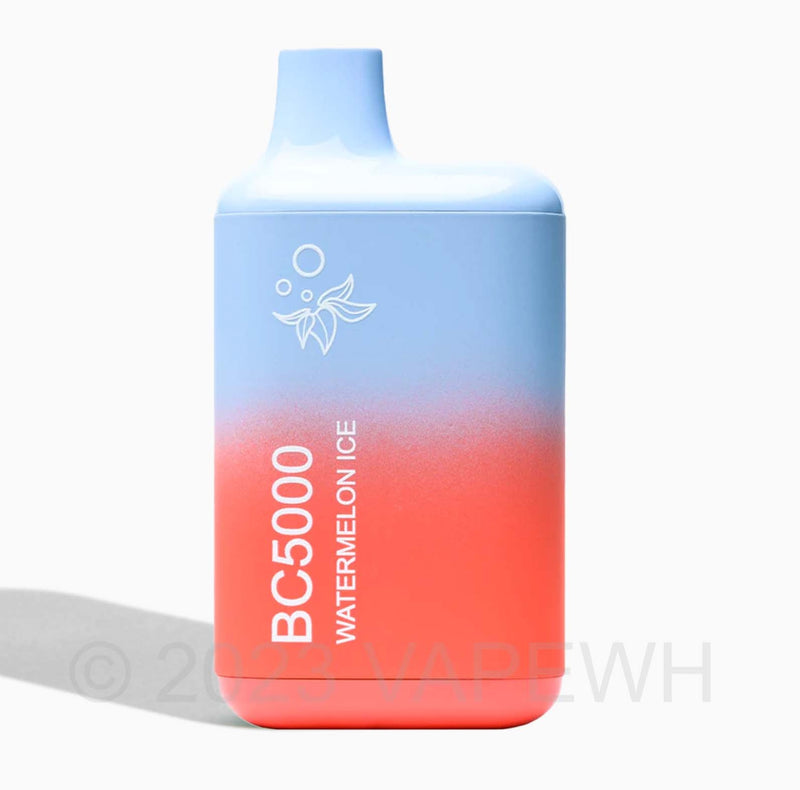 Explore Affordable & Convenient Disposable Vapes at White Horse Vapor