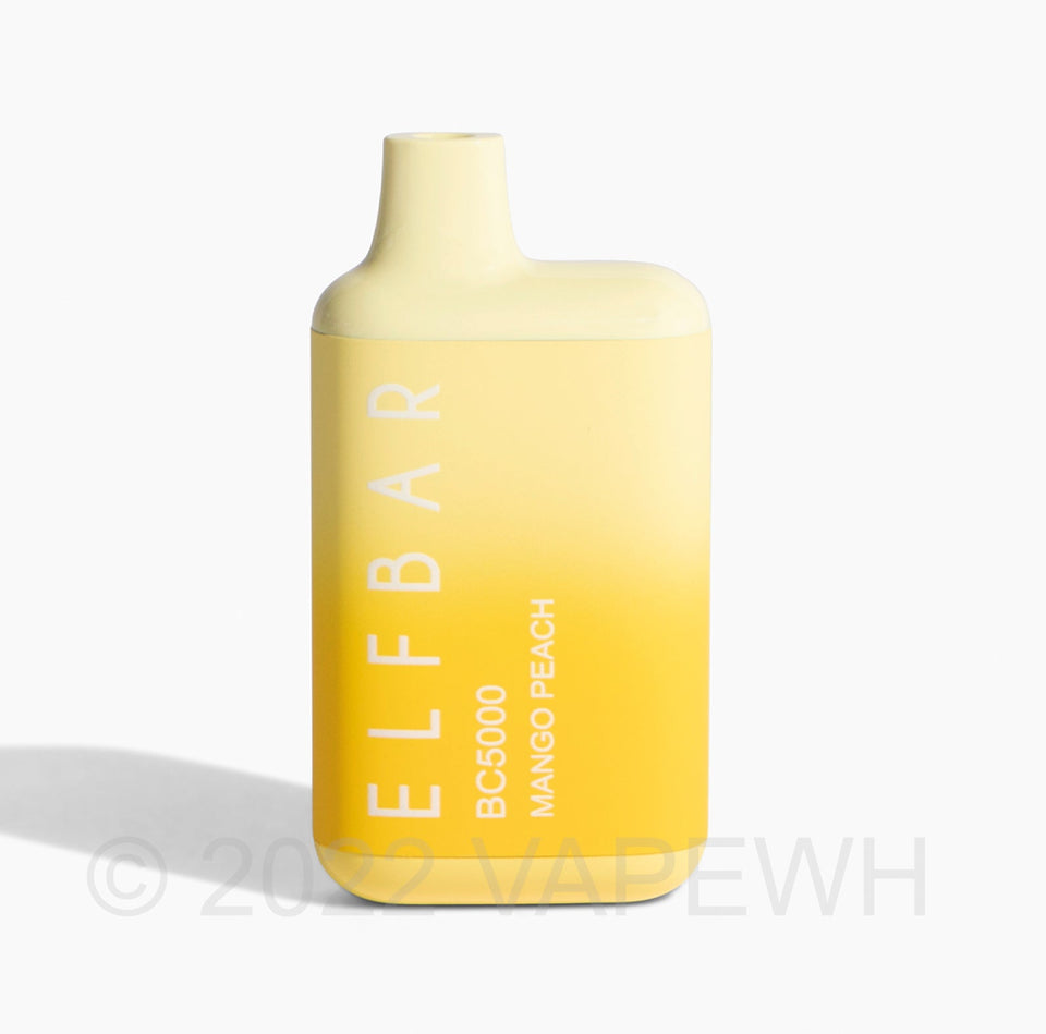 EB BC5000 Disposable Vape | Free Shipping Available at White Horse Vapor